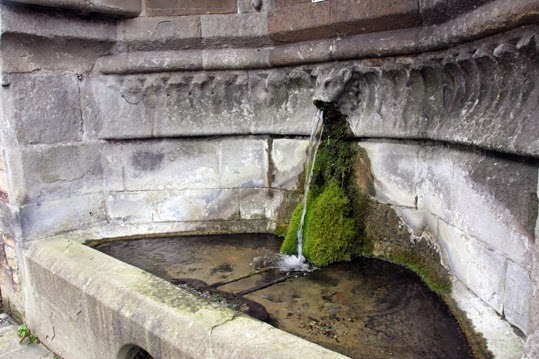 A bad witch's blog: Sacred Springs and Wells: Frome Holy Spring