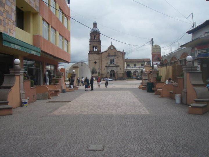 ZACAPU, MICHOACÁN, MÉXICO, ESCUELA PRIMARIA "REVOLUCIÓN": Galería de ...