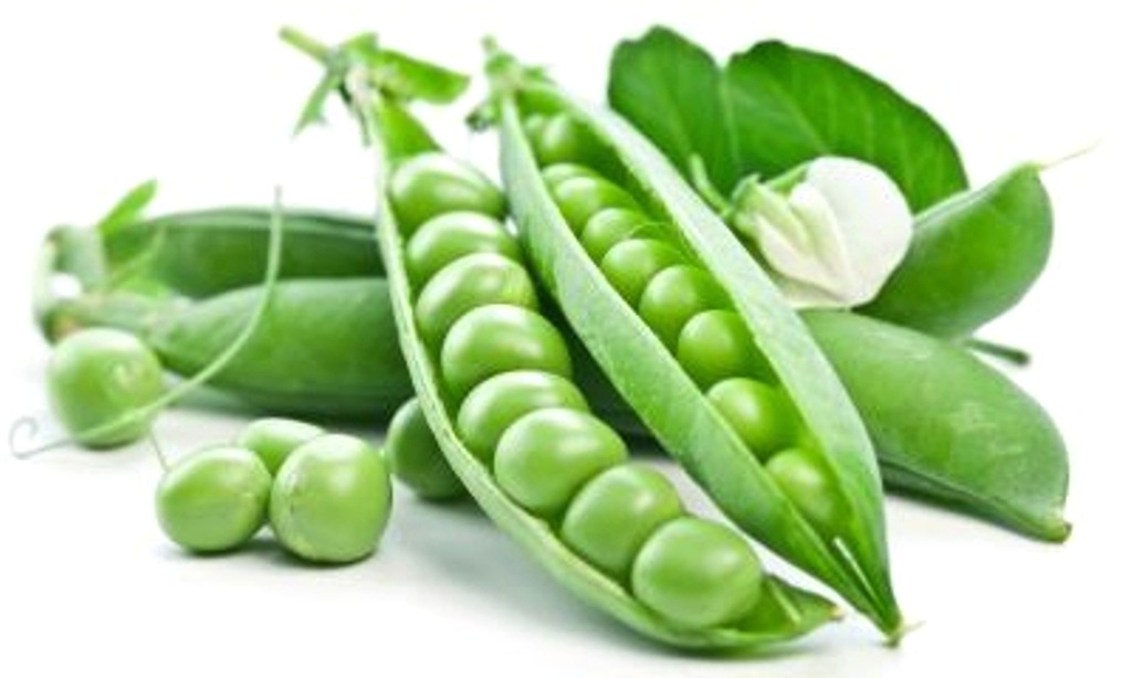 Blog KIE Jurusan Kesehatan Masyarakat Unsoed Purwokerto Jawa Tengah ...