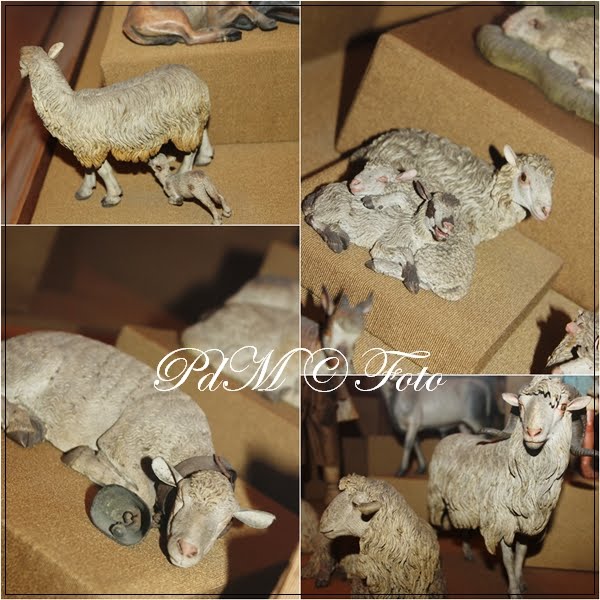 Pecorella di Marzapane: agosto 2011