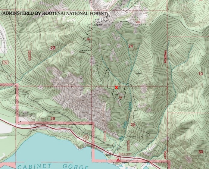 Tall Pines Hiker: Star Peak and lookout