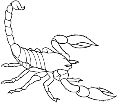 Alacranes para dibujar - Imagui
