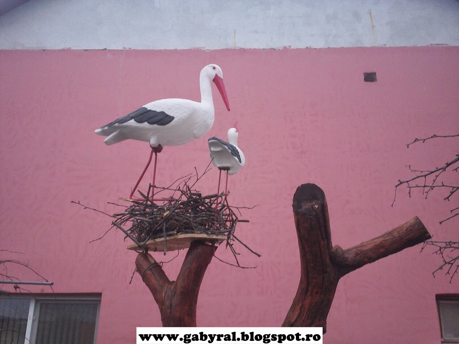 Berze de gradina | BRICOLAJ - GRADINA - SFATURI si IDEI