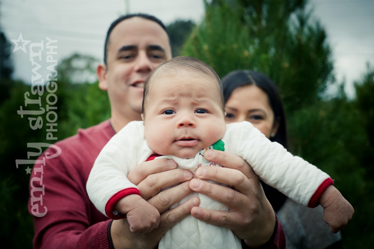 Emily Strawn Photography