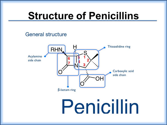 onclick786: Penicillin , History of penicillin , general structure of ...