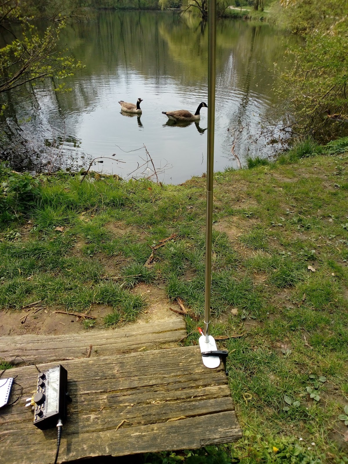 ONFF Blog: ONFF-0613 Tangebeekbos