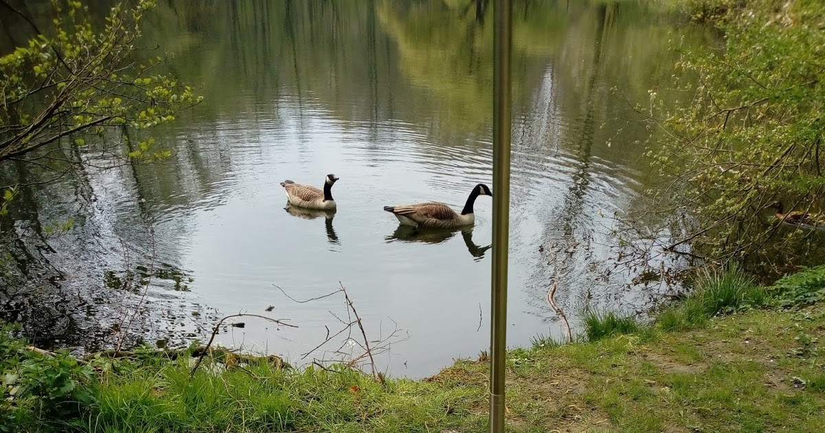 ONFF Blog: ONFF-0613 Tangebeekbos