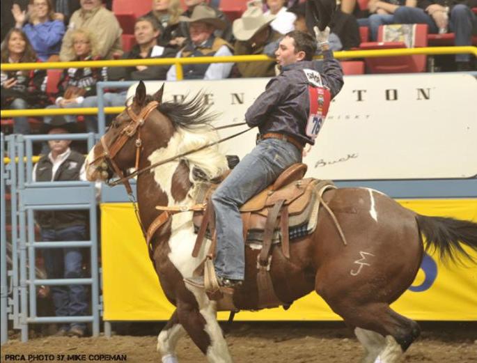 The Roping Blog: Colby Lovell on Buffalo Hunter