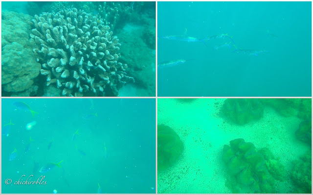 Luxury only at Misibis Bay - Travel with Chichi