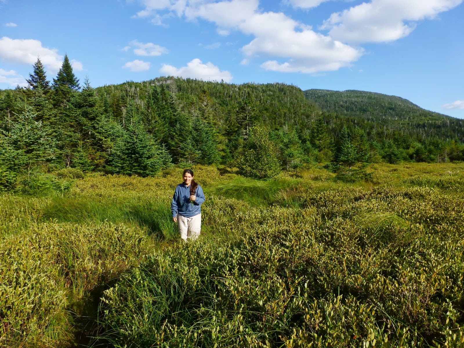 Off on Adventure: Herbert Brook Leanto - Flowed Lands - ADK High Peaks ...
