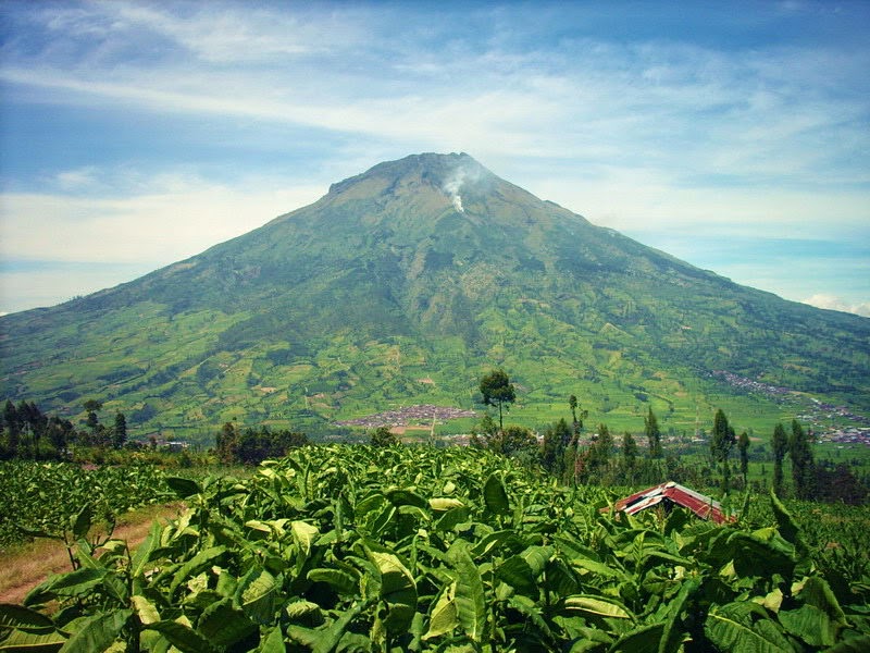 Sumbing Mountain - Mountainesia