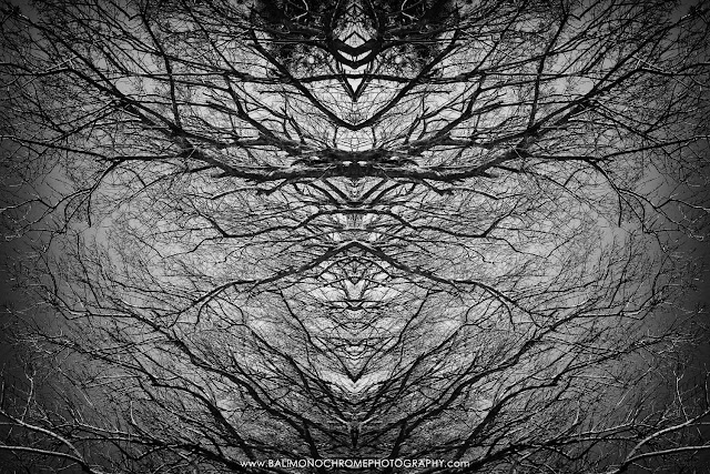 Bali Monochrome Photography - Fine Art Prints: Monochrome Abstract ...