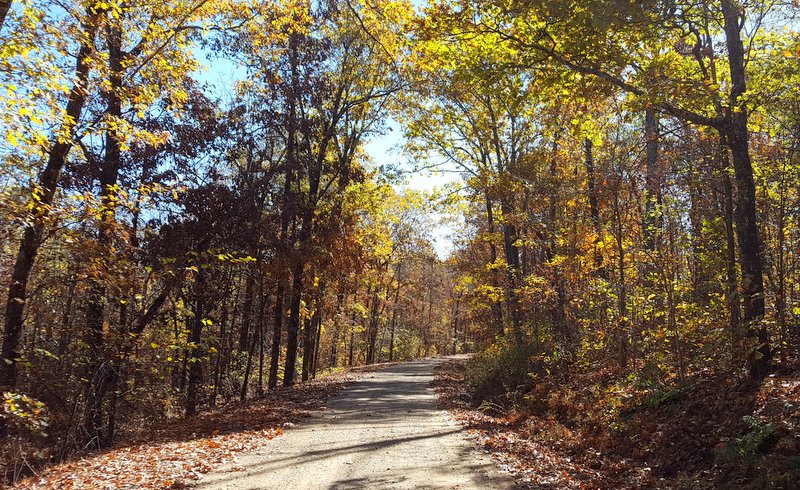 Wandering His Wonders: Hiking White Rock Mountain, Arkansas