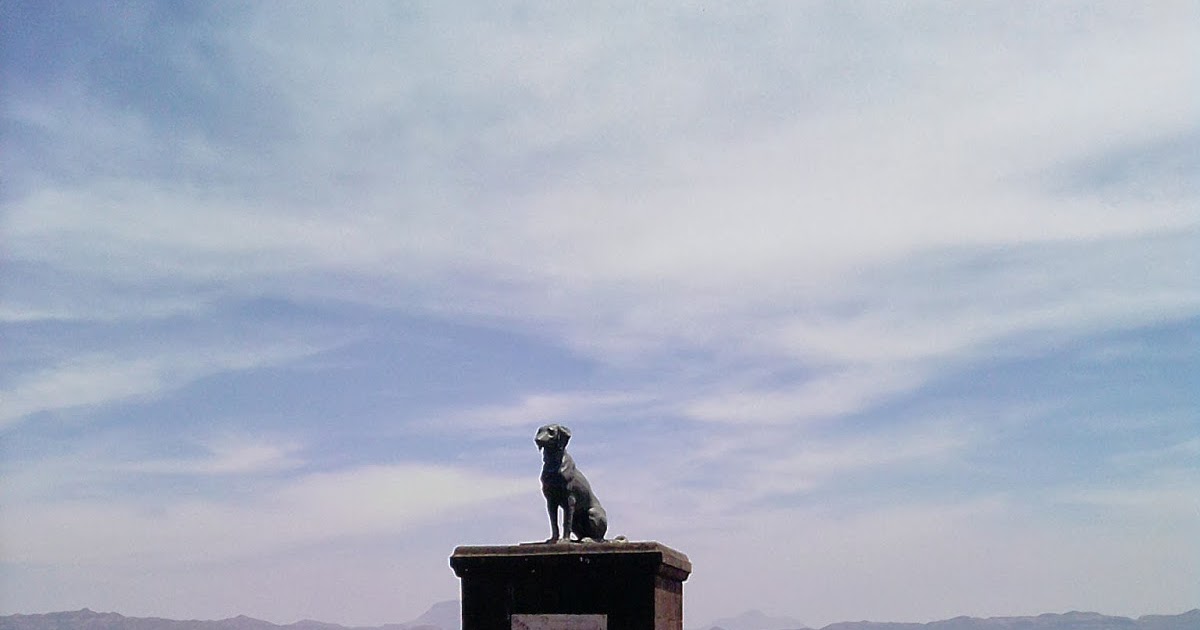 Tomb of Shivaji’s Beloved Pet Dog 'Waghya' at Raigad Fort