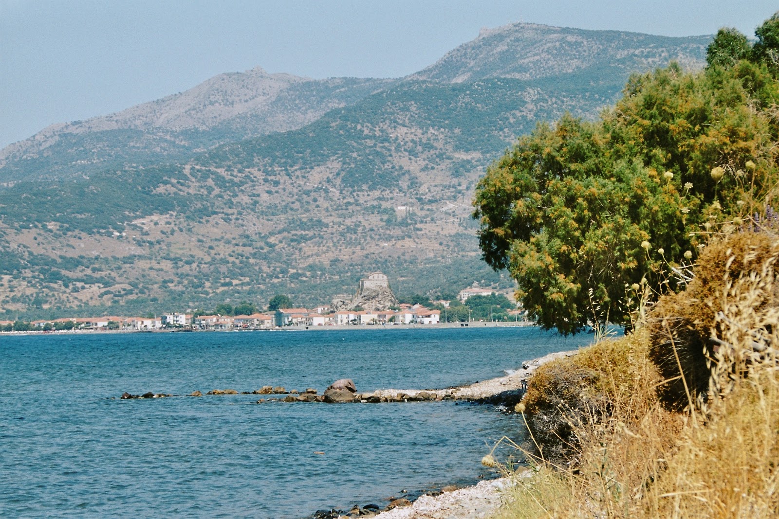 Orynx-improv'andsounds: Origin of the Rosenbergs : the letter of ...