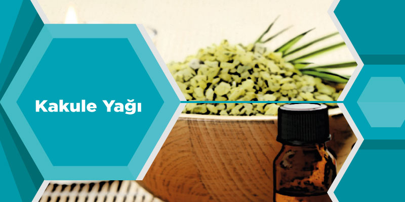 Bitki Yağı: Kakule Yağı