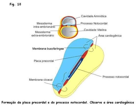 A Vida De Zuleide: Outubro 2016