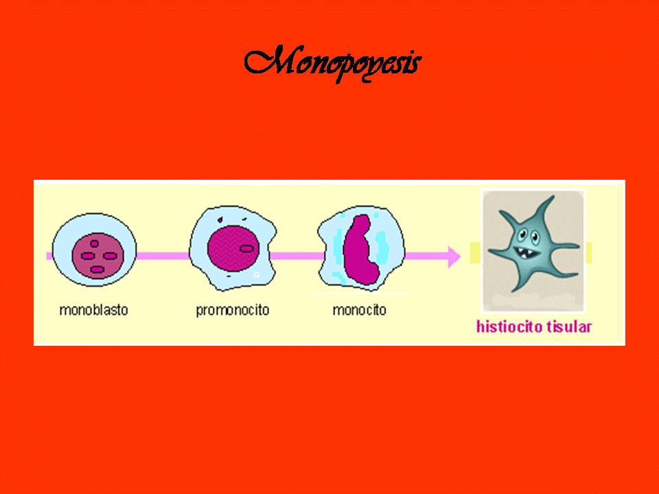Opiniones de Monopoyesis
