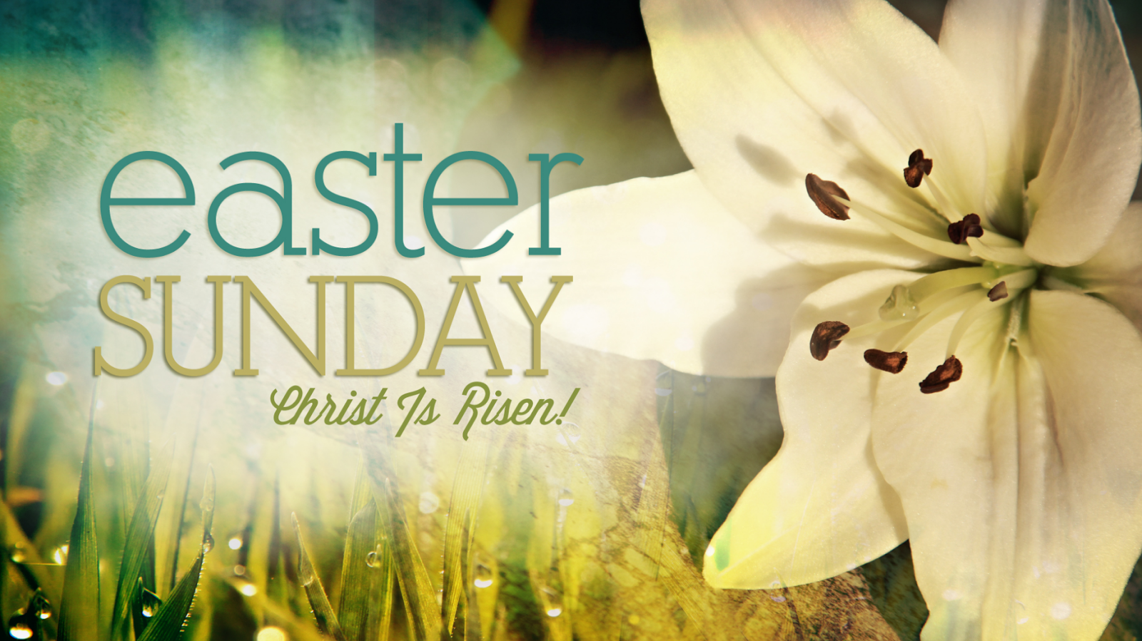 Happy Easter Day Images HD Wallpapers Free Download 2017 - Online HD Images