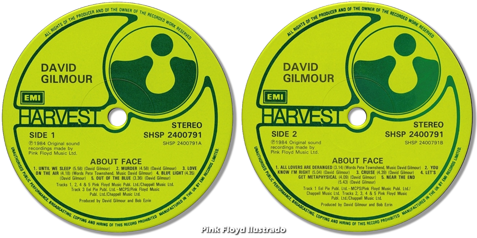 Pink Floyd Ilustrado: About Face - David Gilmour