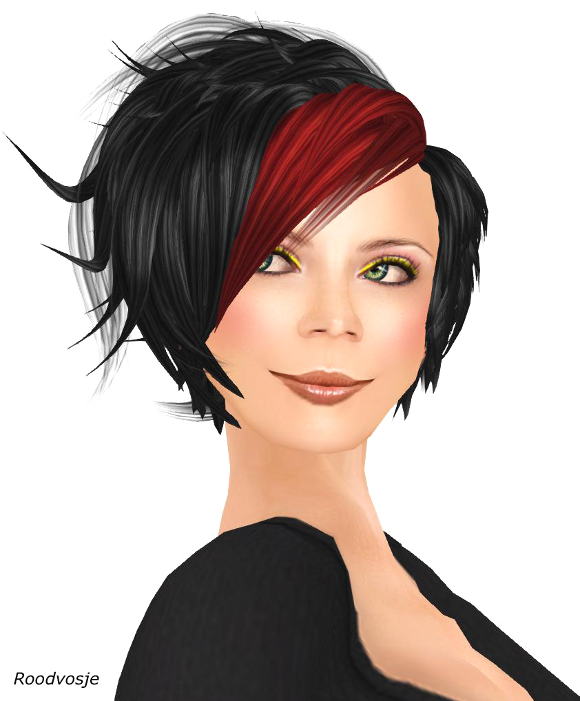 GO DUTCH !: Hair Fair 2013.