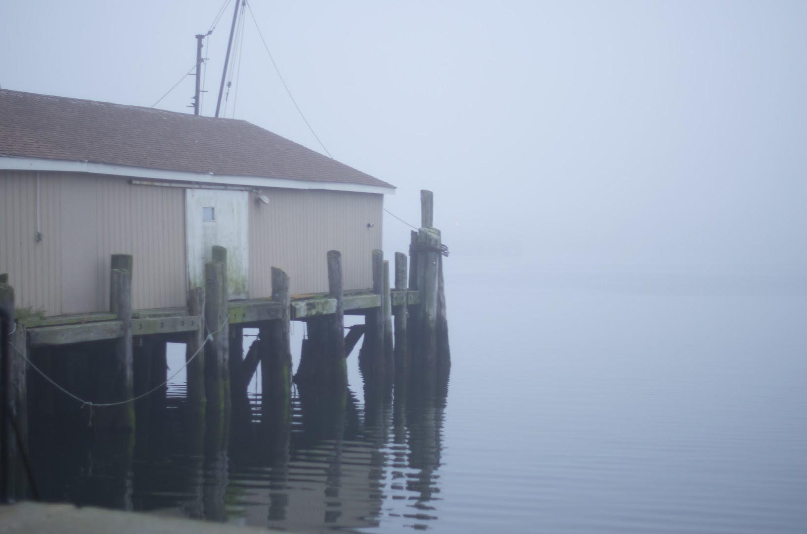 50 & Fabulous: Foggy Docks and Fishing Boats
