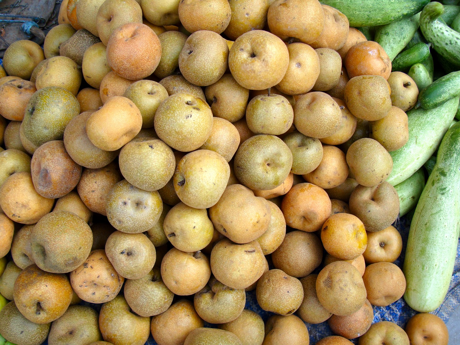 Lists Of Most Common Fruits Of Nepal Nepali English 