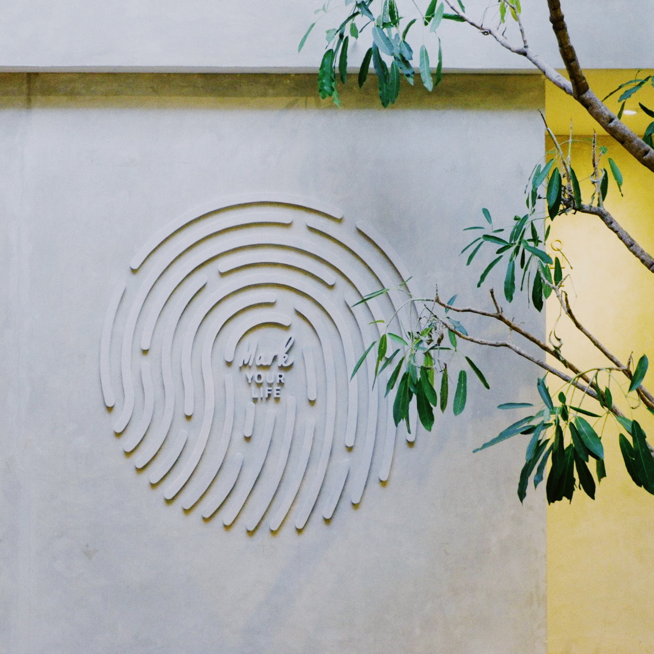 [NEW SPOT] MARKA COFFEE & KITCHEN, BANDUNG - Icha Khairisa