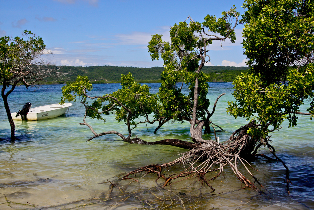 Museo Digital Iturricense de Historia Natural y Etnográfica de ...