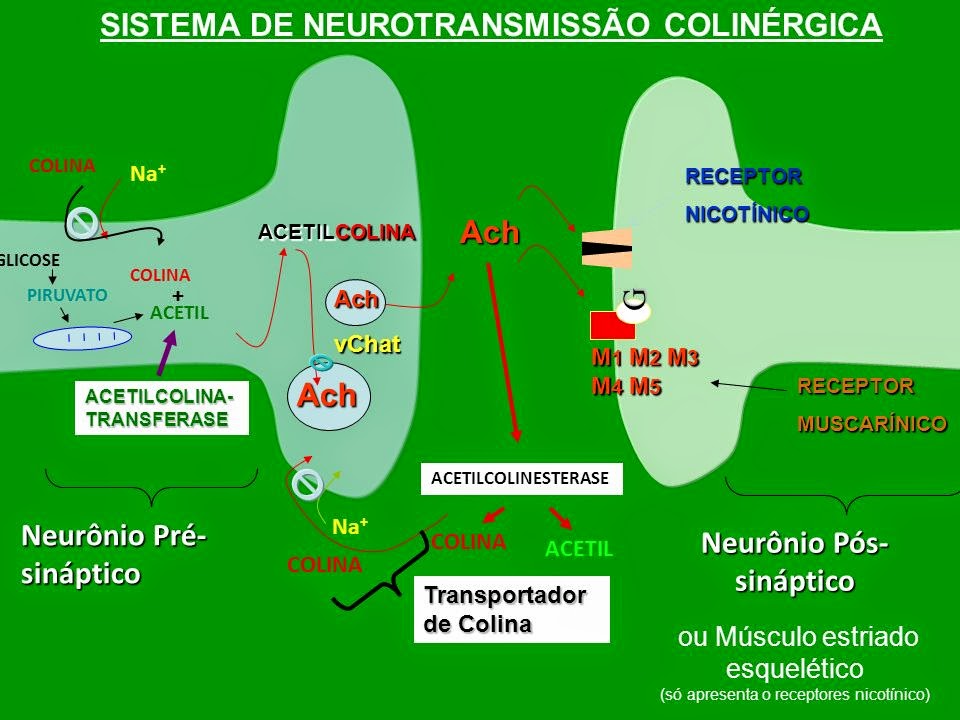 Blog Dr. Carlos: Fenergan
