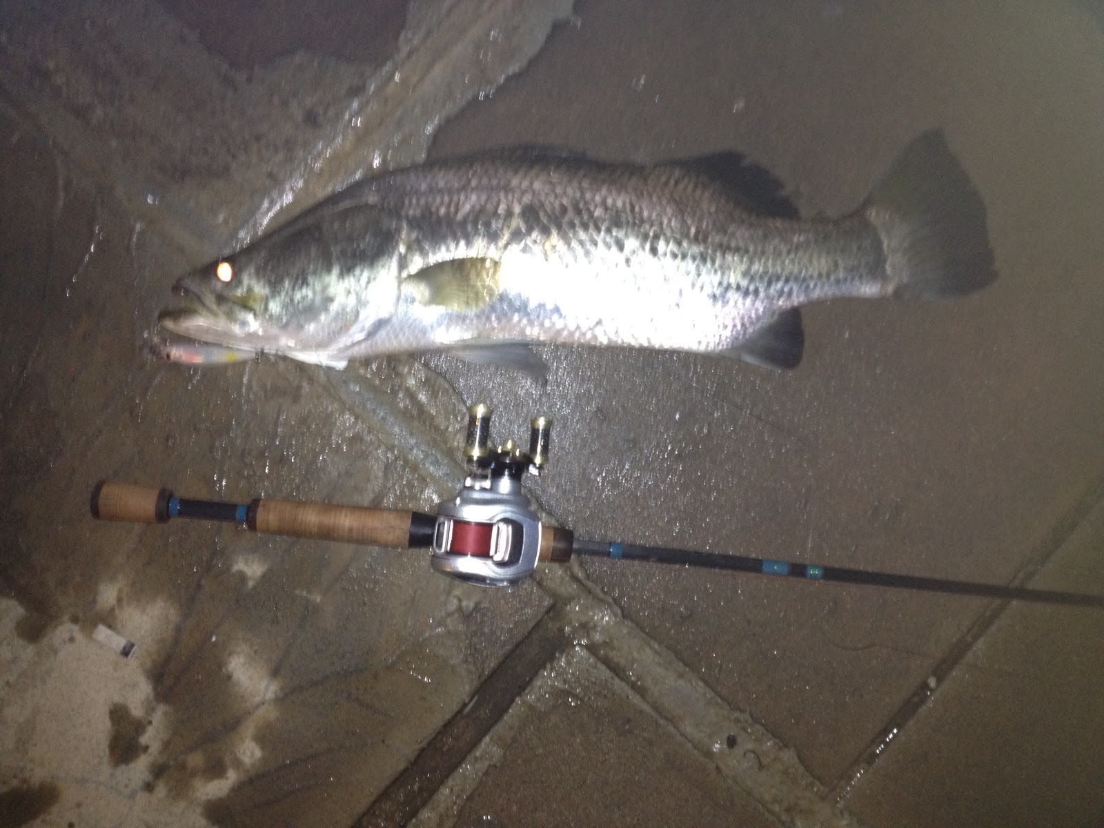 Max Fishing Dairy: Smith Seabat 78s