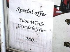 INSTITUTO DE BIOLOGIA & INGENIERIA DE ECOSISTEMAS: FAROE ISLANDS: PILOT ...