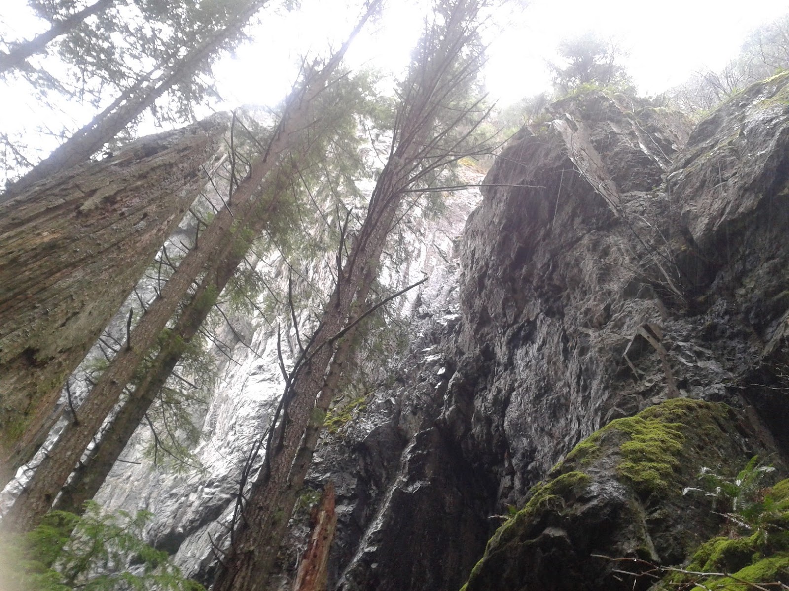 Urban Trailseeker: Hiking Trip Report: Little Si, Boulder Garden Loop