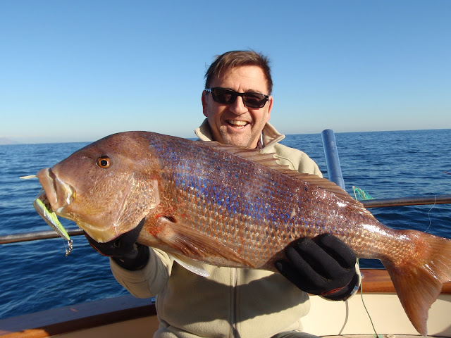 Dentis, pagre et thons