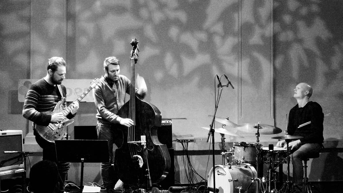 PREPARED GUITAR: Thomas T Dahl 13 Questions