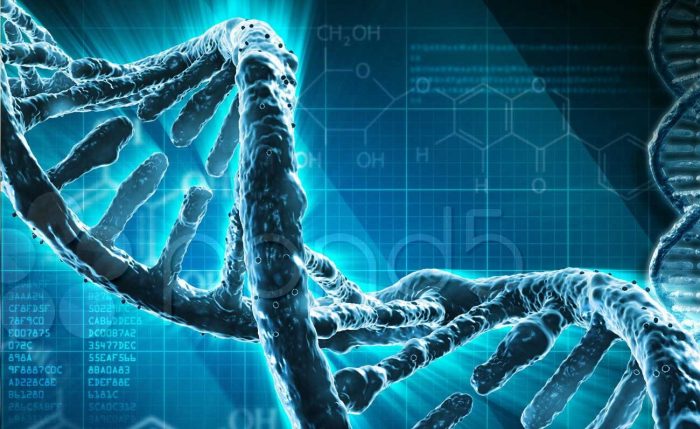 LAS MUTACIONES: octubre 2018