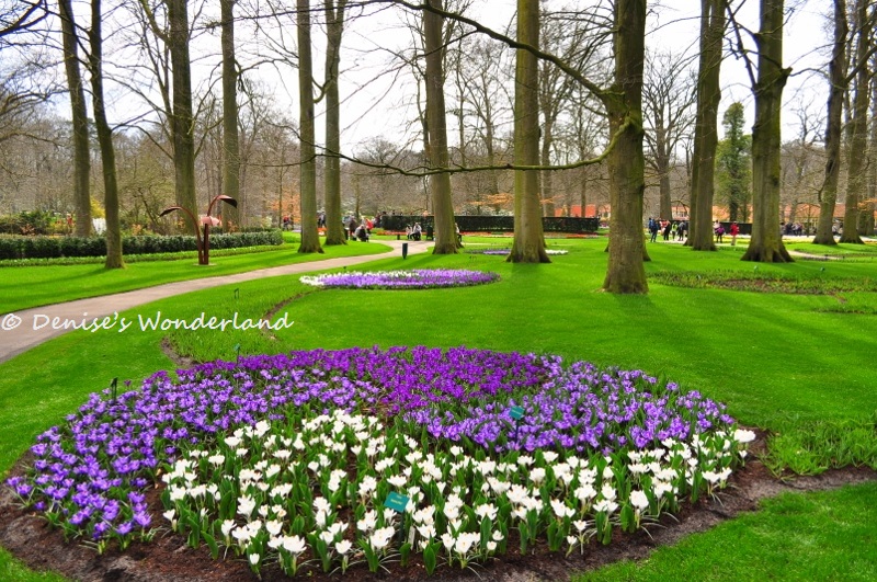 Keukenhof Park - The World's Most Beautiful Spring Garden - Denise's ...