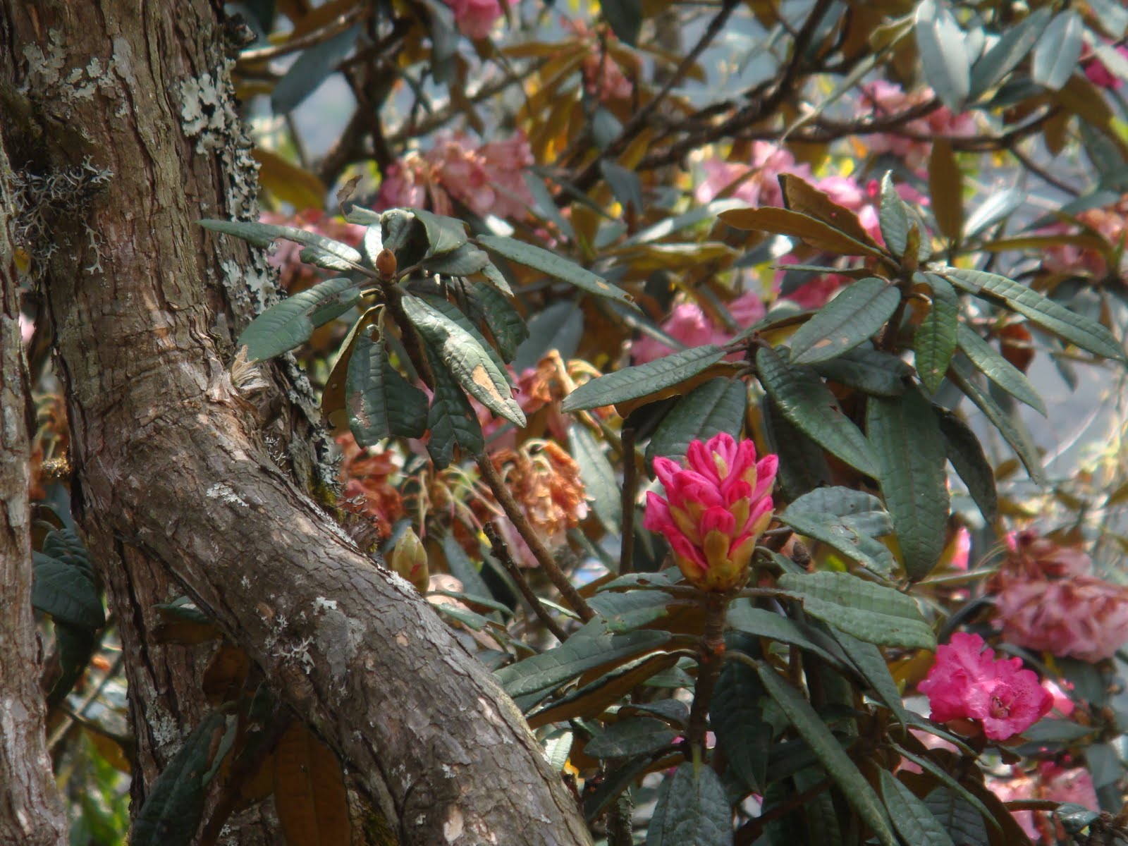 A Protest of Romance: July 2011