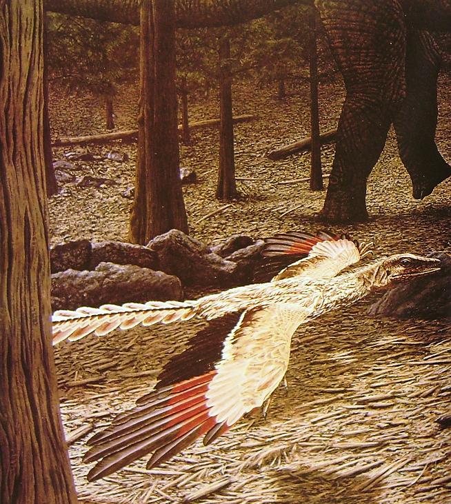 AGATHAUMAS: Archaeopteryx lithographica 1861-2011