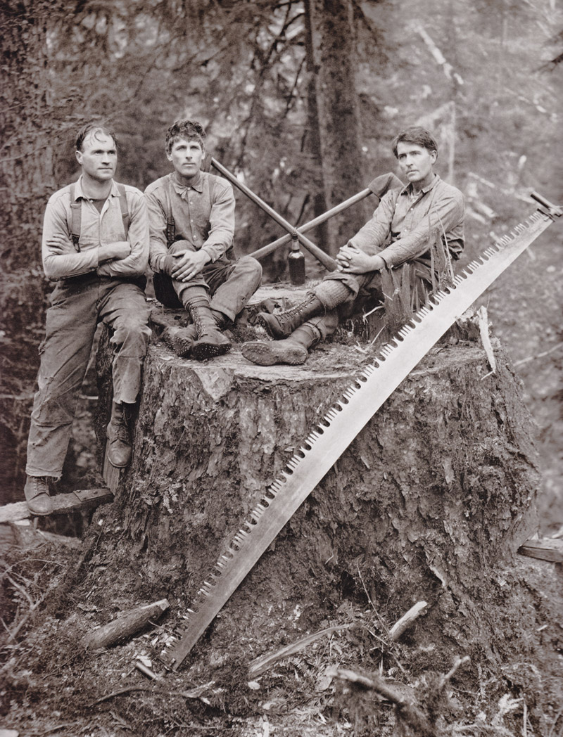 Amazing Vintage Photographs Document Logging and Lumber Activities in ...