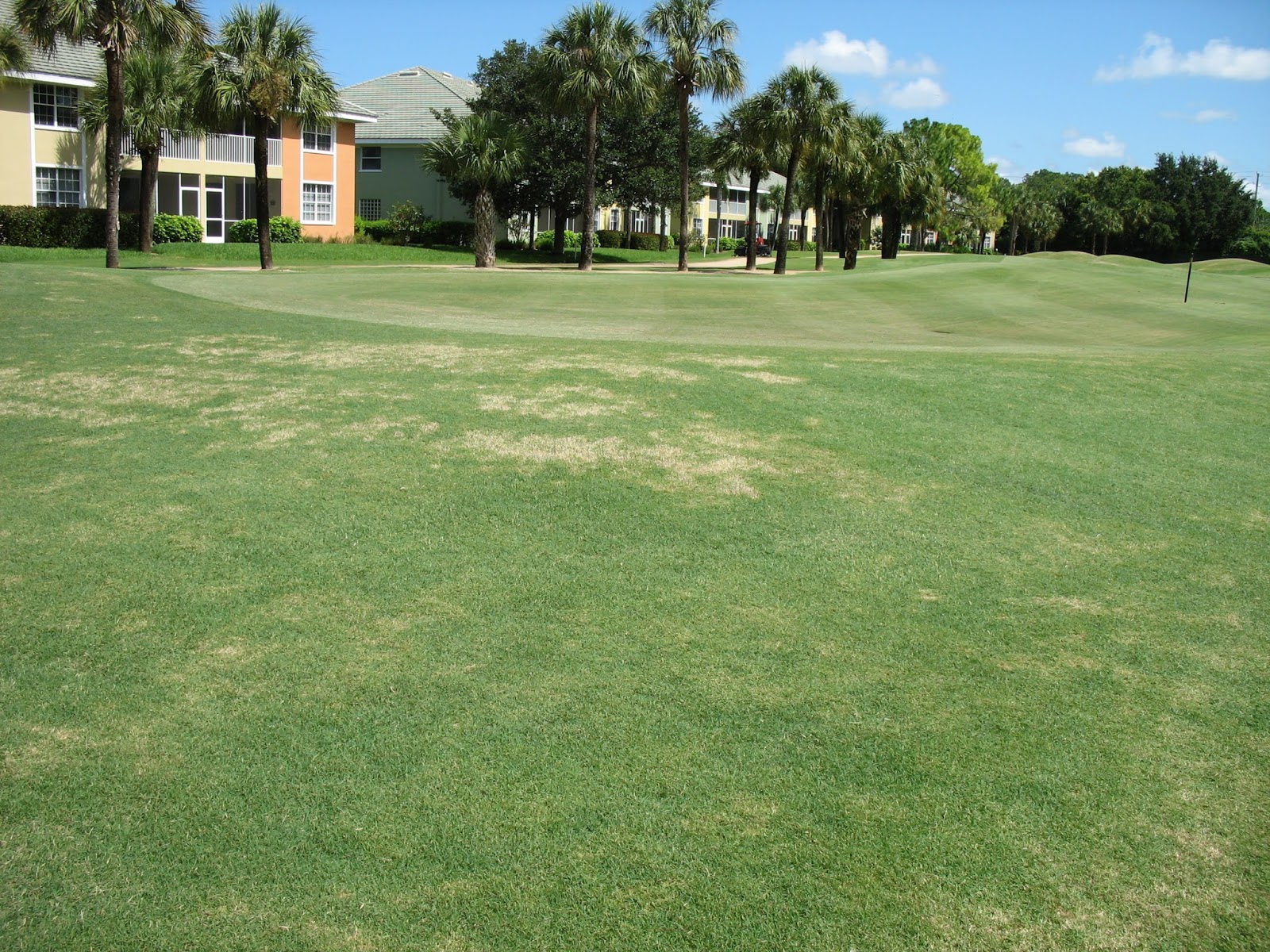 Stonebridge Country Club Golf Course Updates