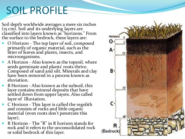 Horticulture: Soils