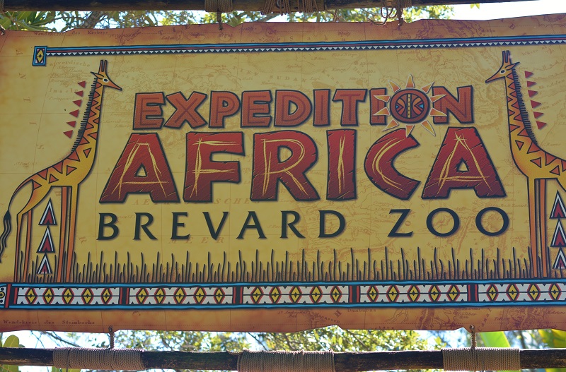 Life With 4 Boys: An Interactive Animal Experience at The Brevard Zoo # ...