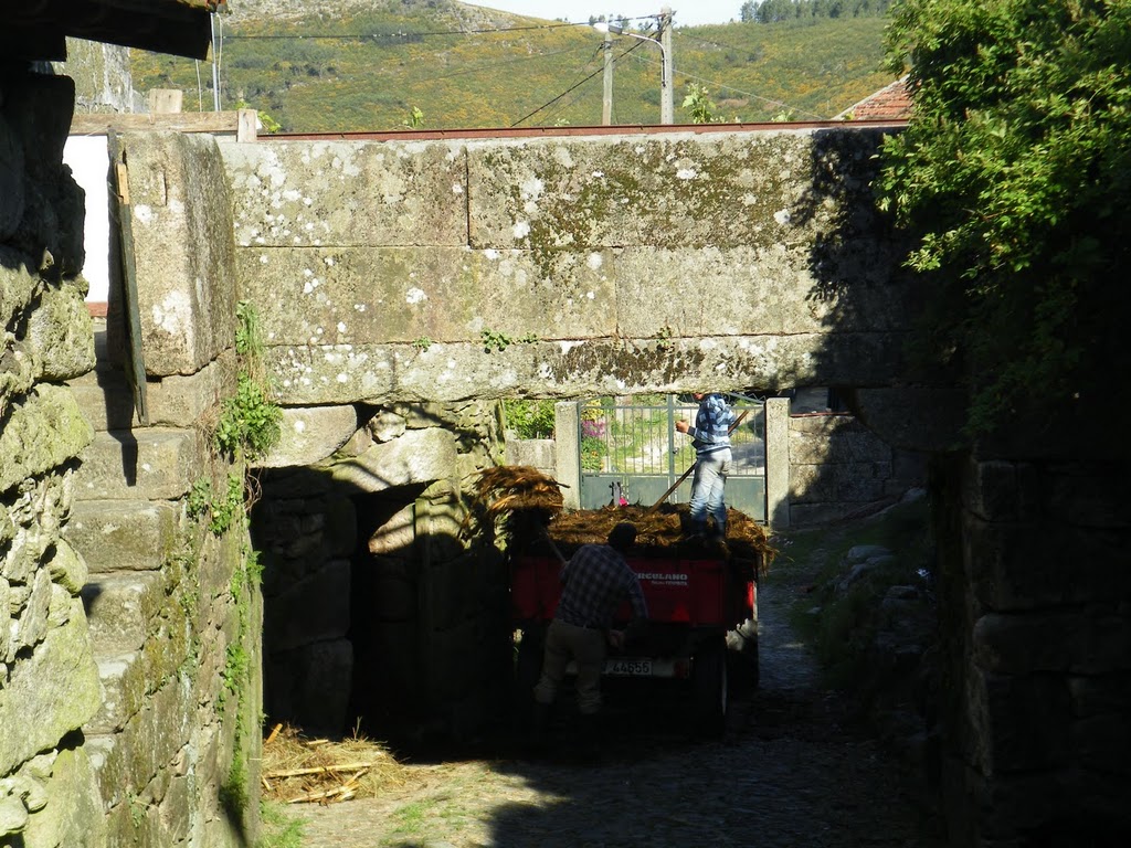 BiKeNaTuRaS: PELA CABREIRA À PROCURA DA NASCENTE DO RIO AVE...