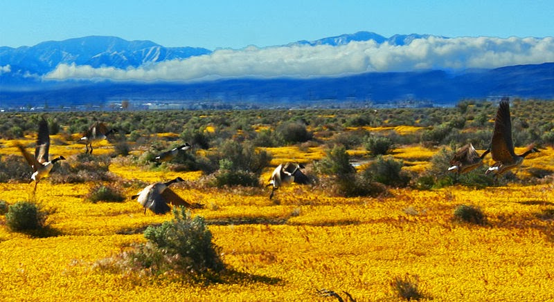 Hopeless Wanderer : PCT 2014: Back to Desert: Angeles National Forest ...