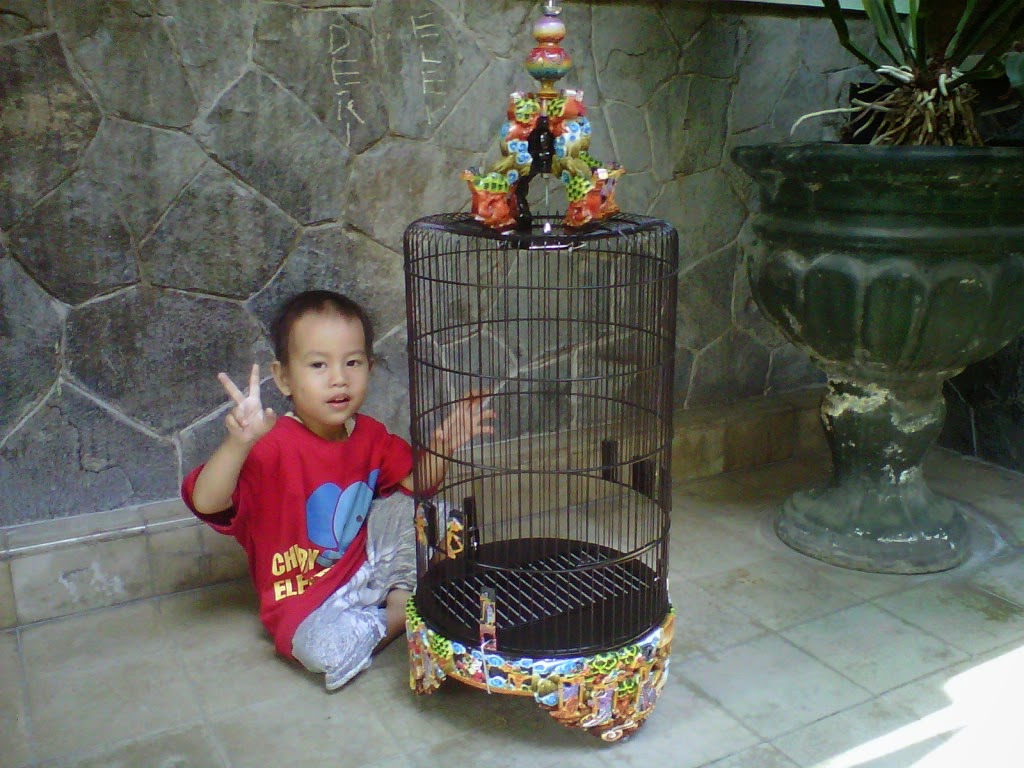 GALERY-SANGKAR: SANGKAR BURUNG LOVEBIRD