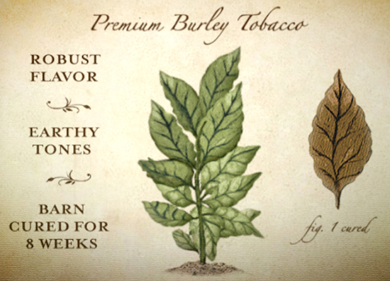 Pipe Club of OTR: Know Your Leaf; Burley