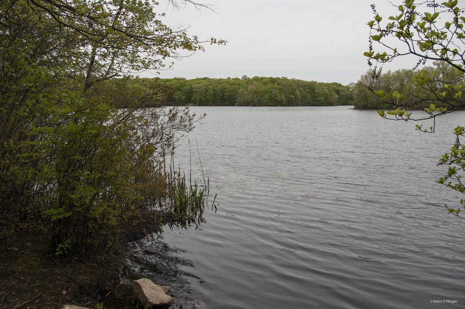 Nature photos from an Amateur Naturalist: Middlesex Fells Reservation ...