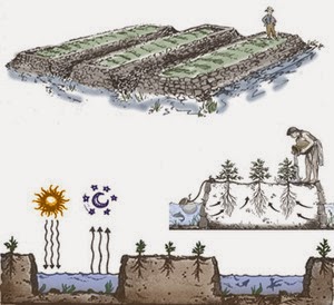 La agricultura de las culturas pre incas ~ Aprenda historia de la humanidad