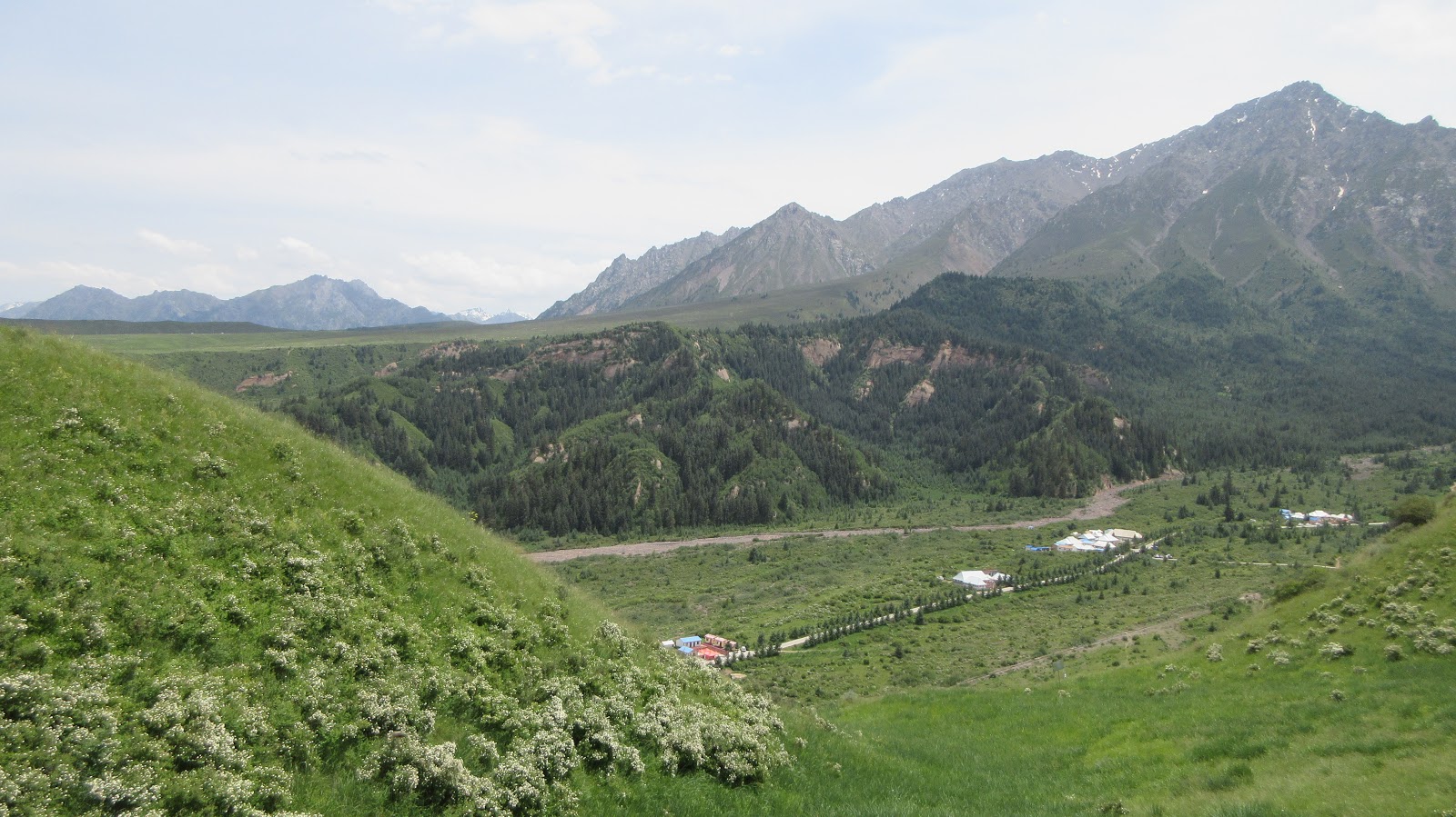 Quick Guide: Mati Si - The Wandering Juan